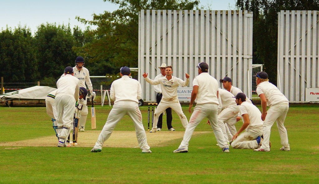 Norfolk will go into Festival of Cricket in a strong position – Norfolk ...